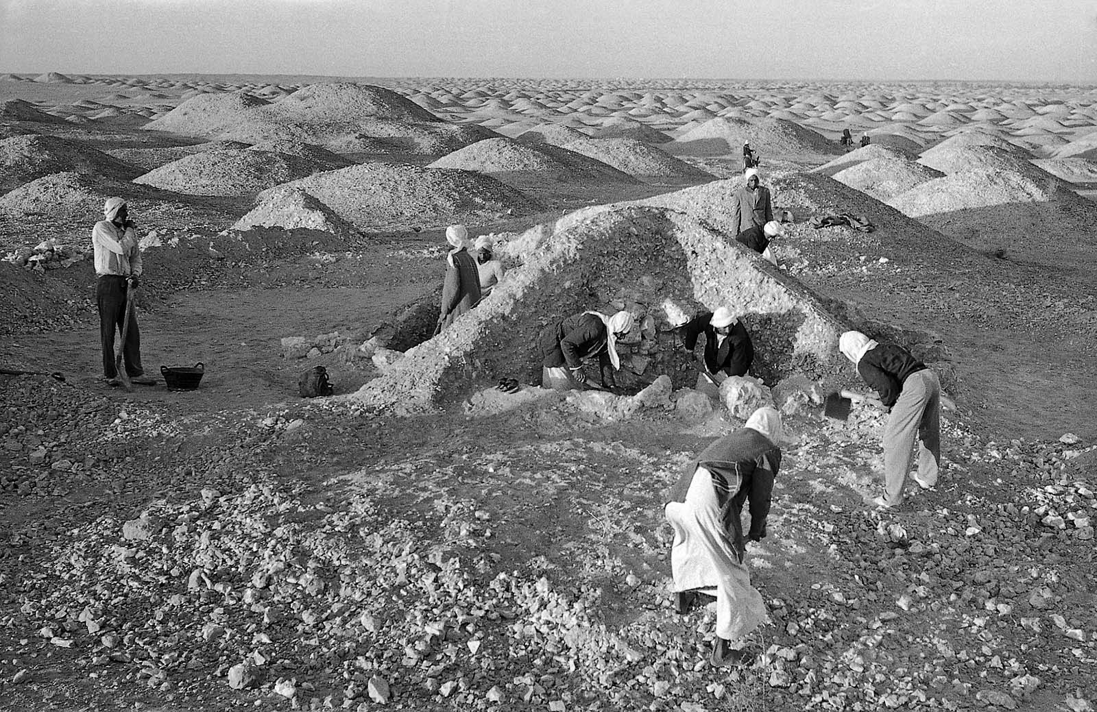 Sands of time: the Dilmun burial mounds of Bahrain